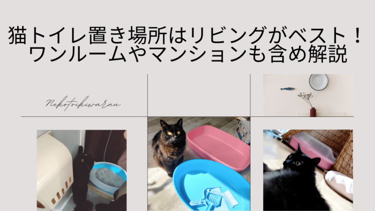 猫トイレ置き場所はリビングがベスト!ワンルームやマンションも含め解説 猫と生き笑うためのブログ